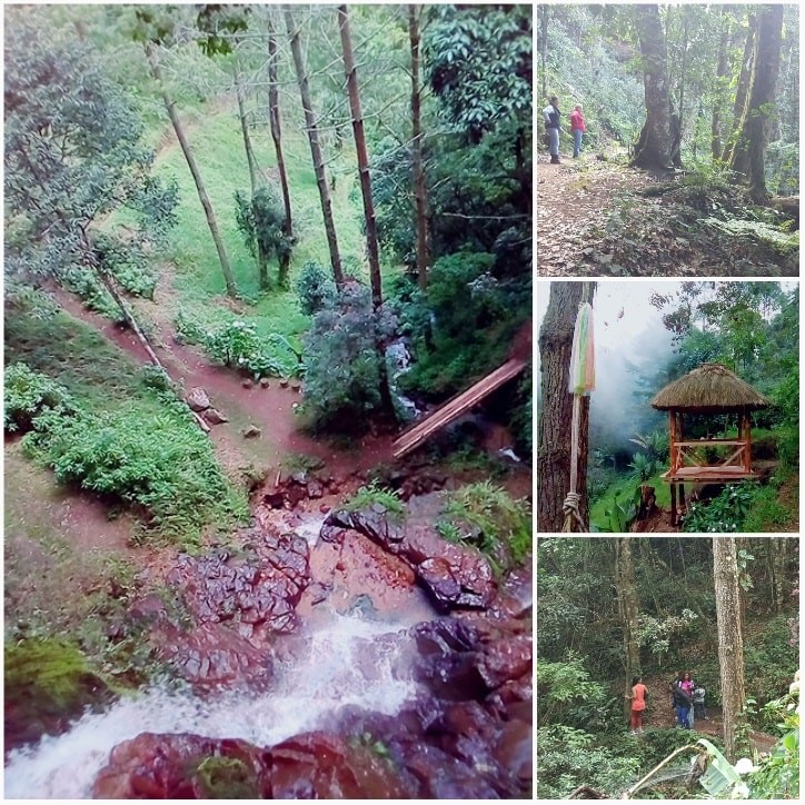 Reserva Natural Privada Jalapa - Parque TATASIRIREParque TATASIRIRE